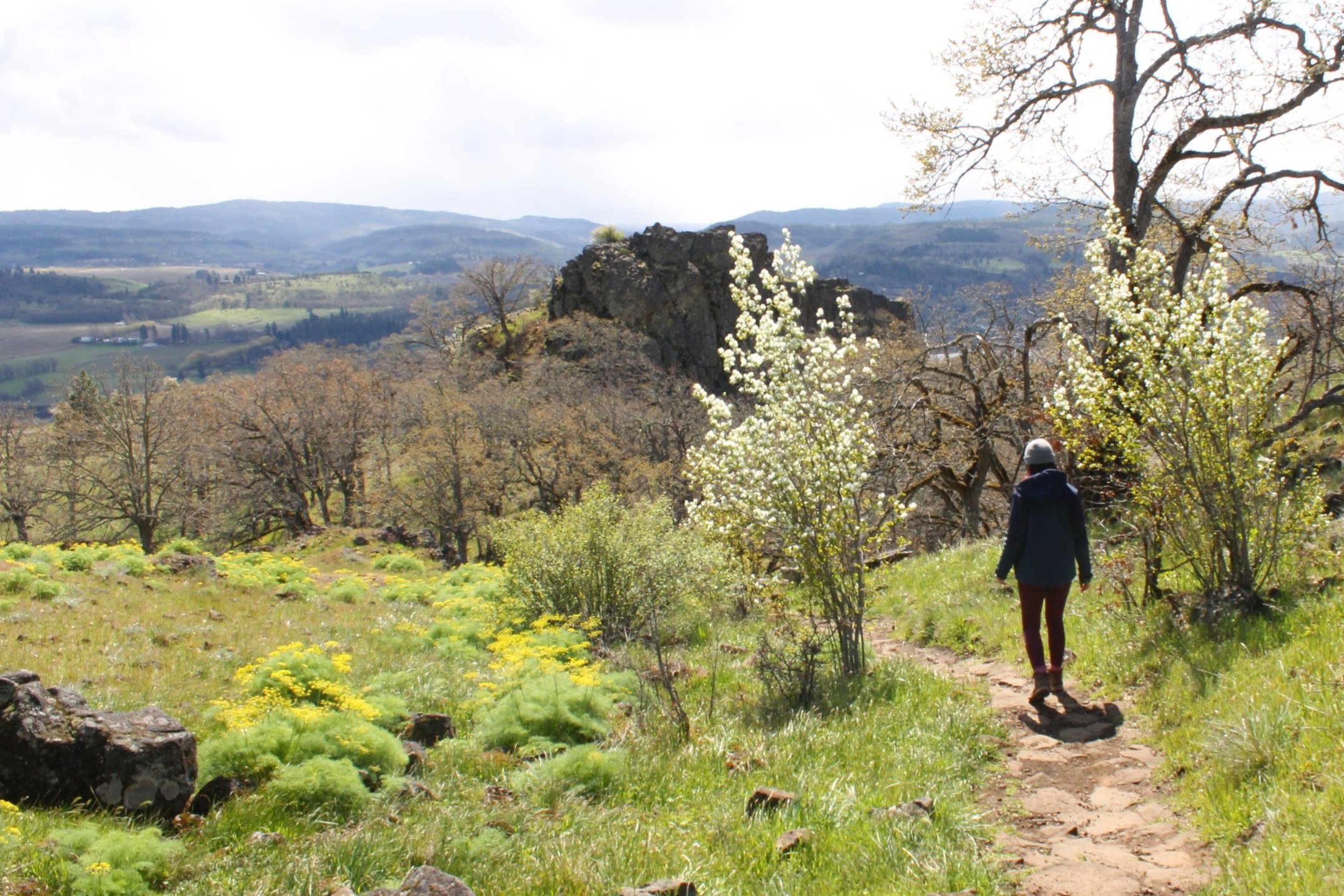 Best 10 Wildflower Hikes in the Columbia Gorge (that aren’t Dog ...