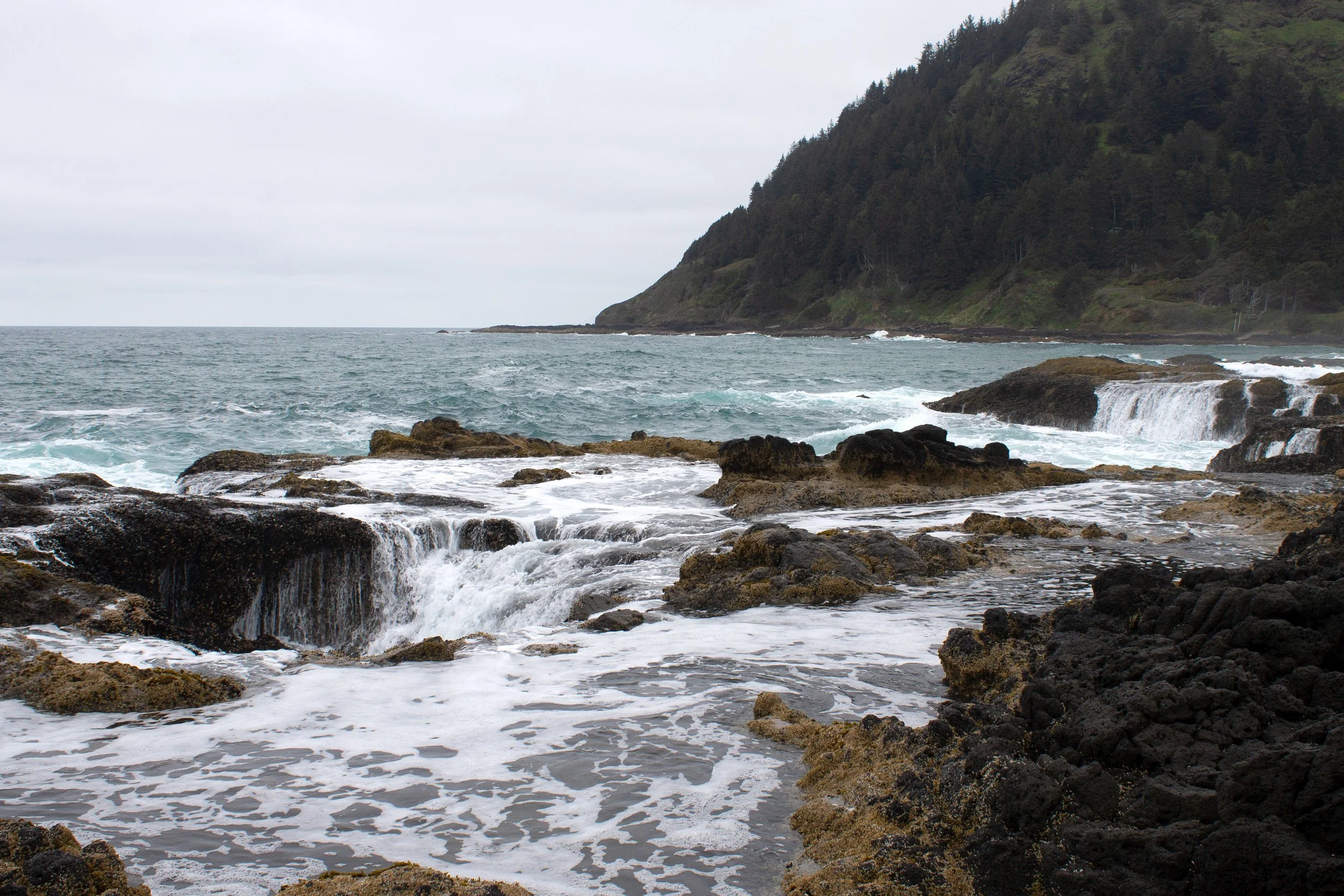 20 Most Stunning Beaches on the Oregon Coast — Pines and Vines