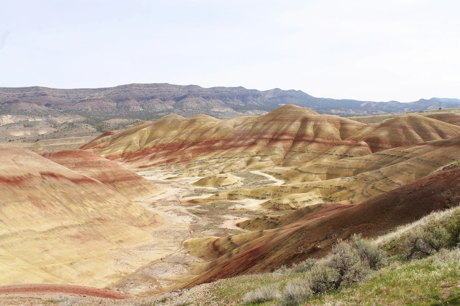 Oregon’s Painted Hills: Complete Visitor’s Guide — Pines and Vines