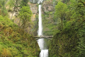 Multnomah Falls Permit System in 2026 — Pines and Vines