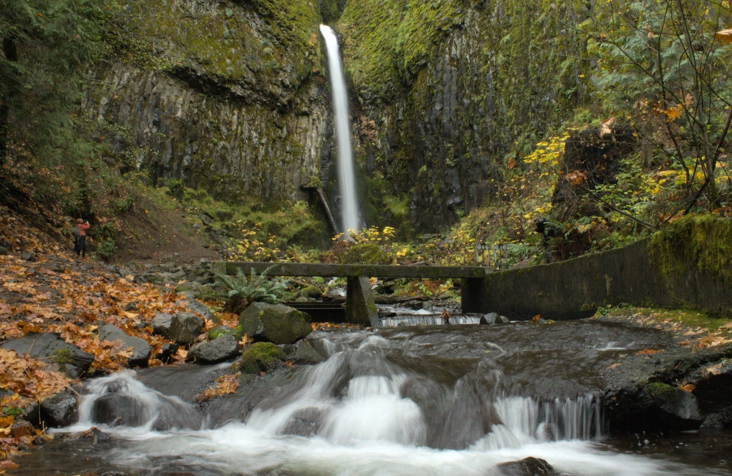 Best 10 Hikes Within 1 Hour of Portland — Pines and Vines — Pines and Vines