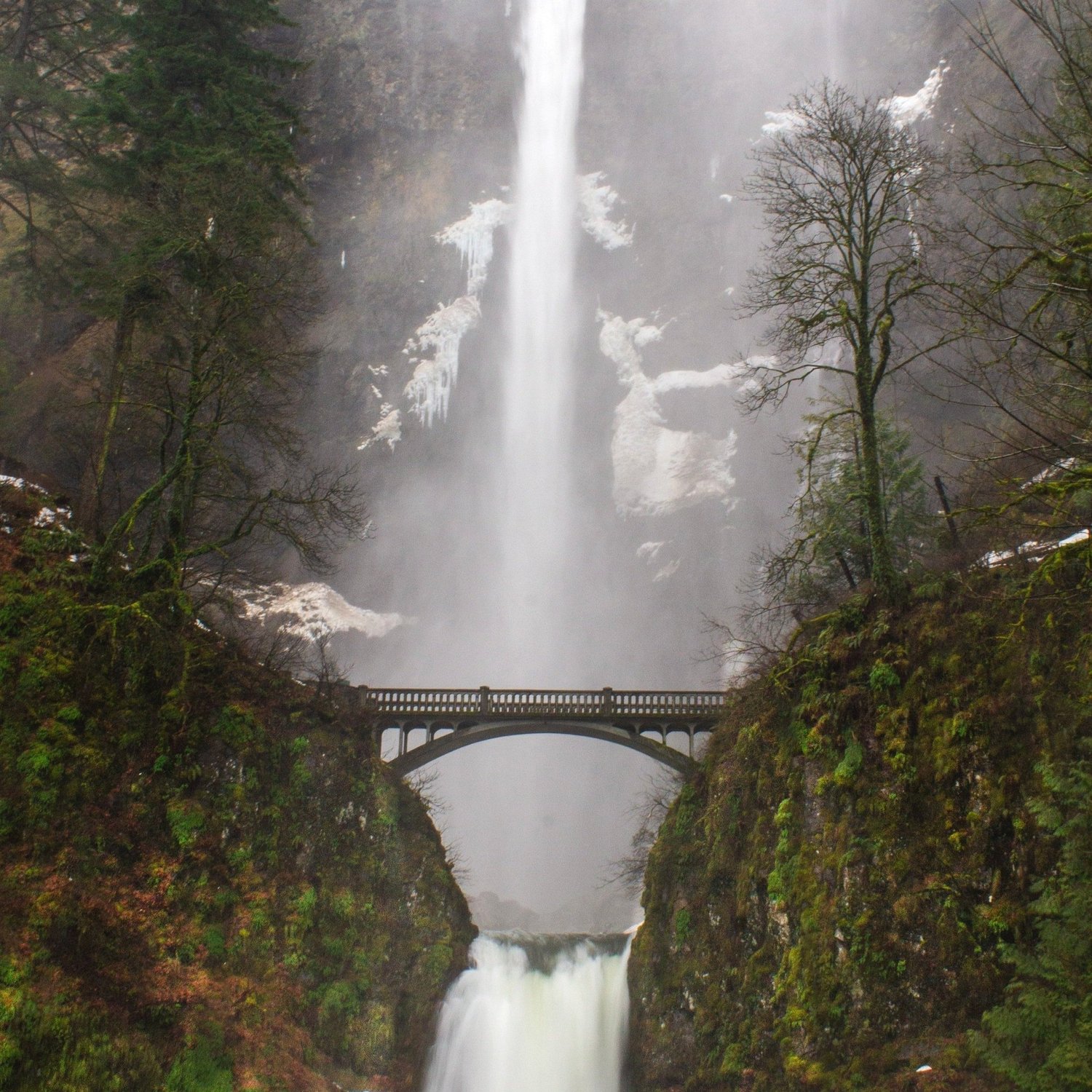 Multnomah Falls - Wahkeena Falls Loop Hike — Pines and Vines — Pines ...