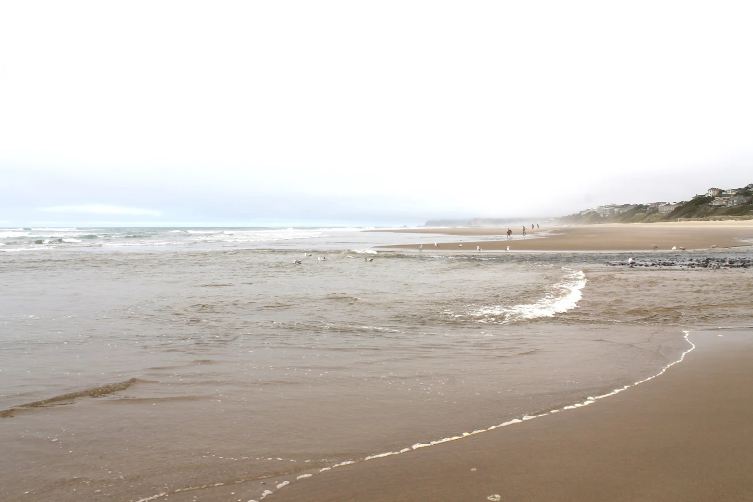 Best Stops on the Oregon Coast from Lincoln City to Depoe Bay — Pines ...