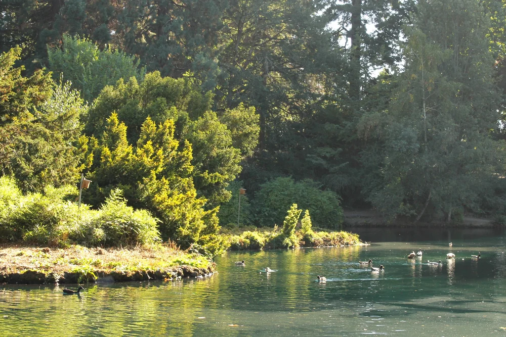 12 Beautiful Portland Parks for Hiking — Pines and Vines