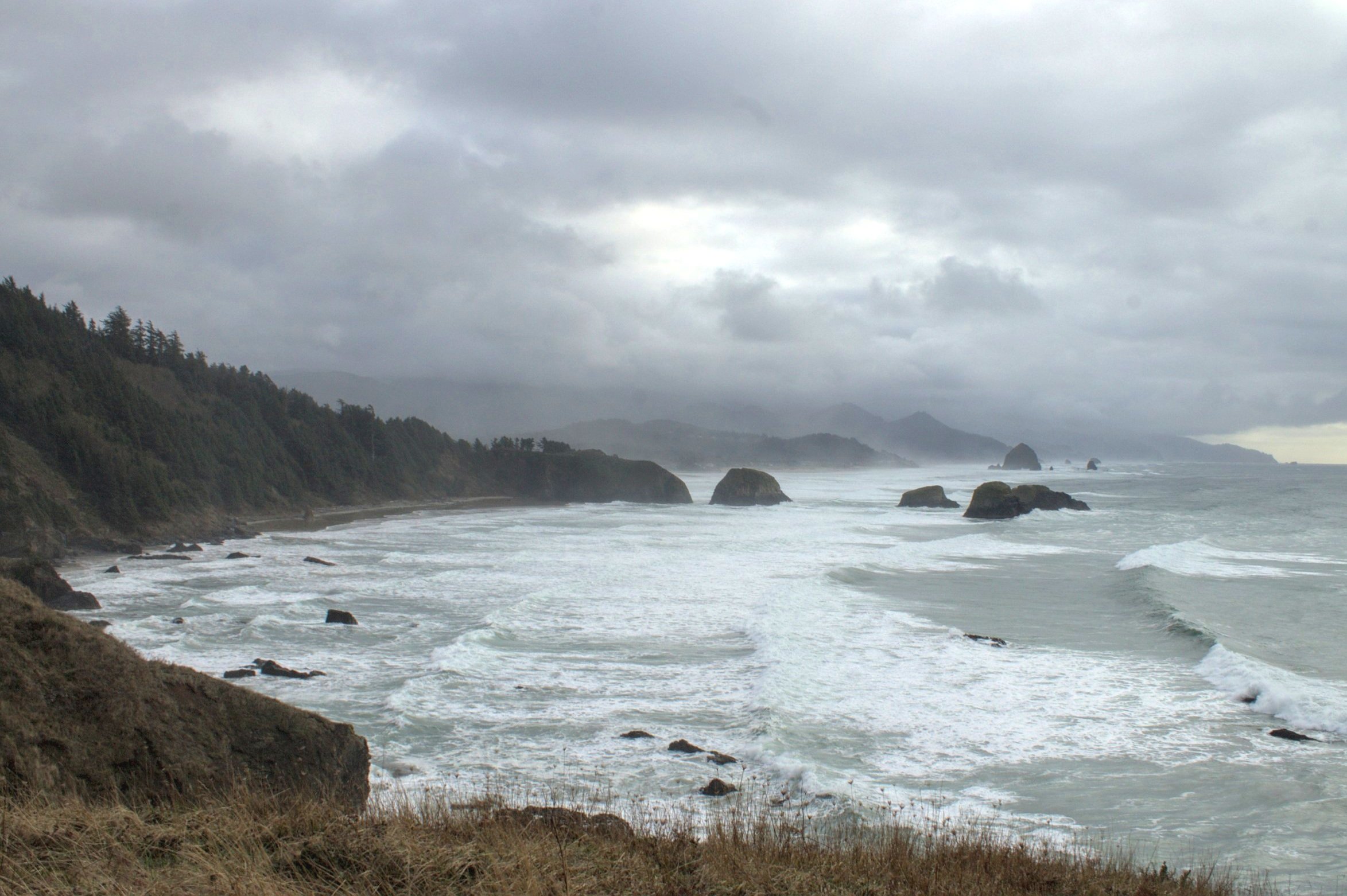 Ecola State Park and the Clatsop Loop Trail — Pines and Vines — Pines ...