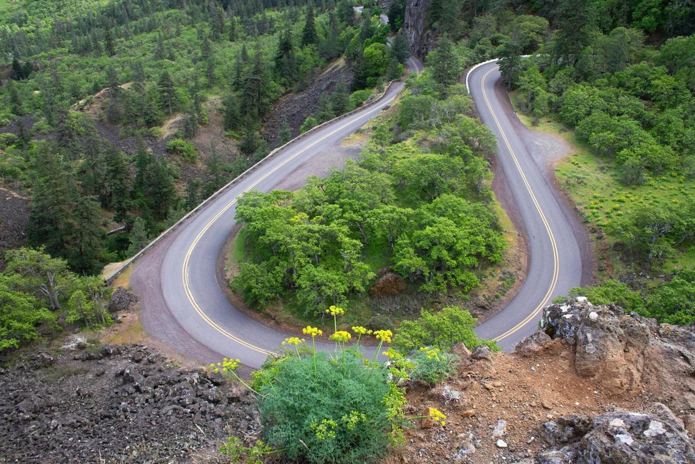 Rowena Plateau Wildflower Hike — Pines and Vines