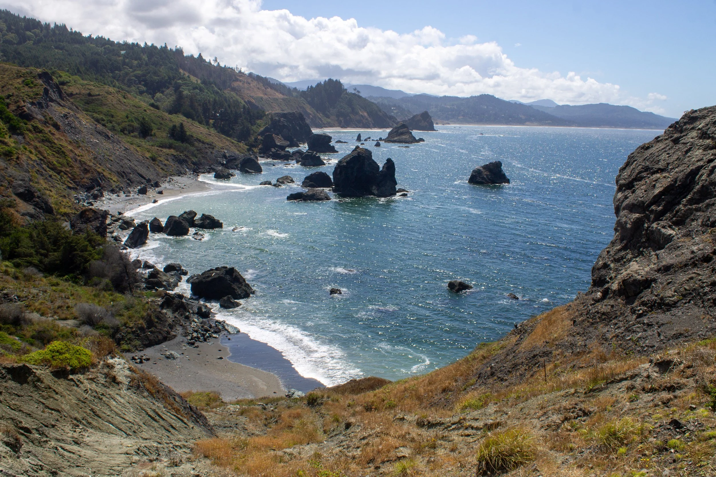Quick Guide to Sisters Rock State Park on the Oregon Coast — Pines and ...