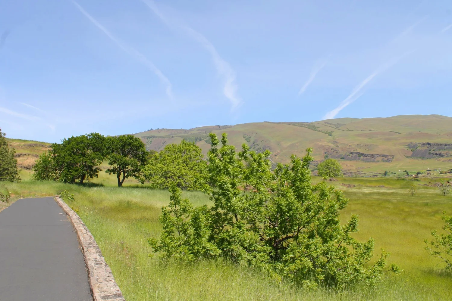 Best 12 Things to Do in the Dalles, OR — Pines and Vines — Pines and Vines