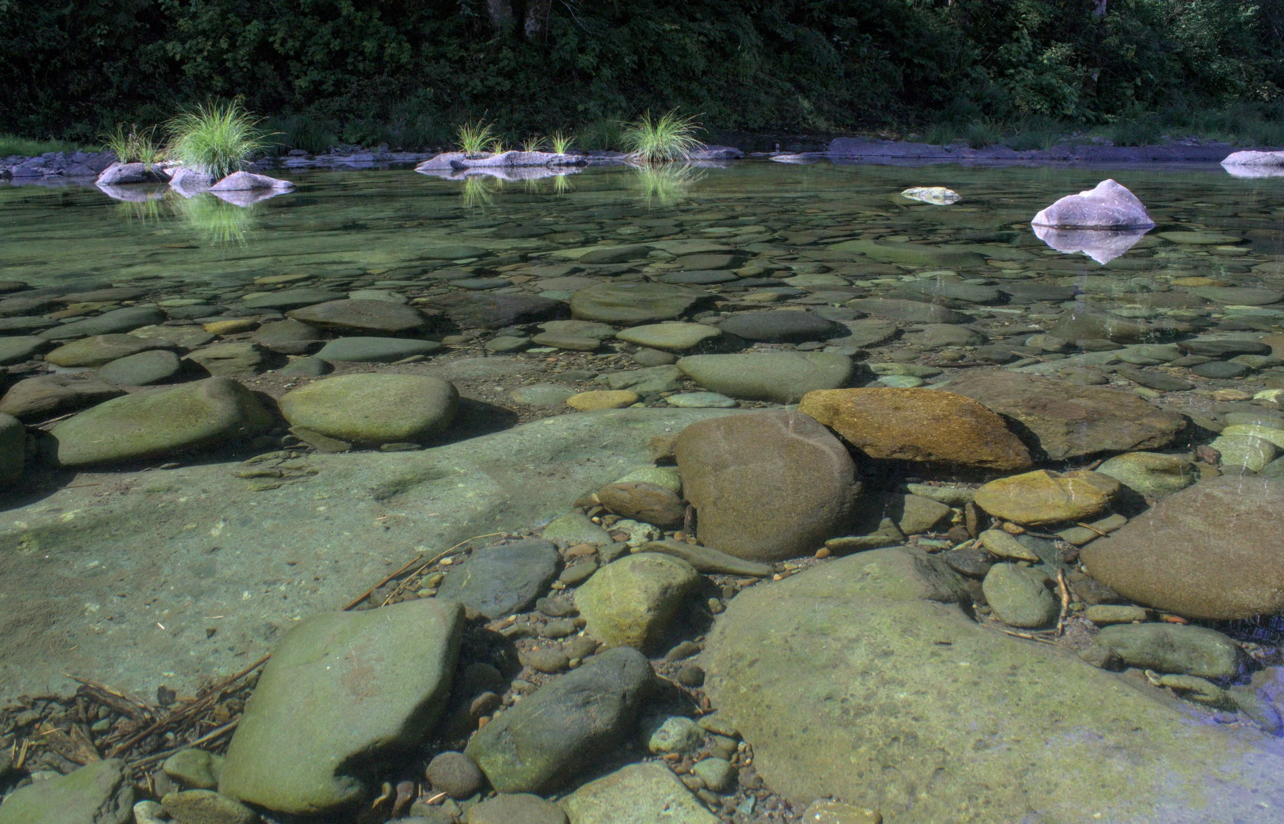 Quick Guide to Visiting Dougan Falls — Pines and Vines