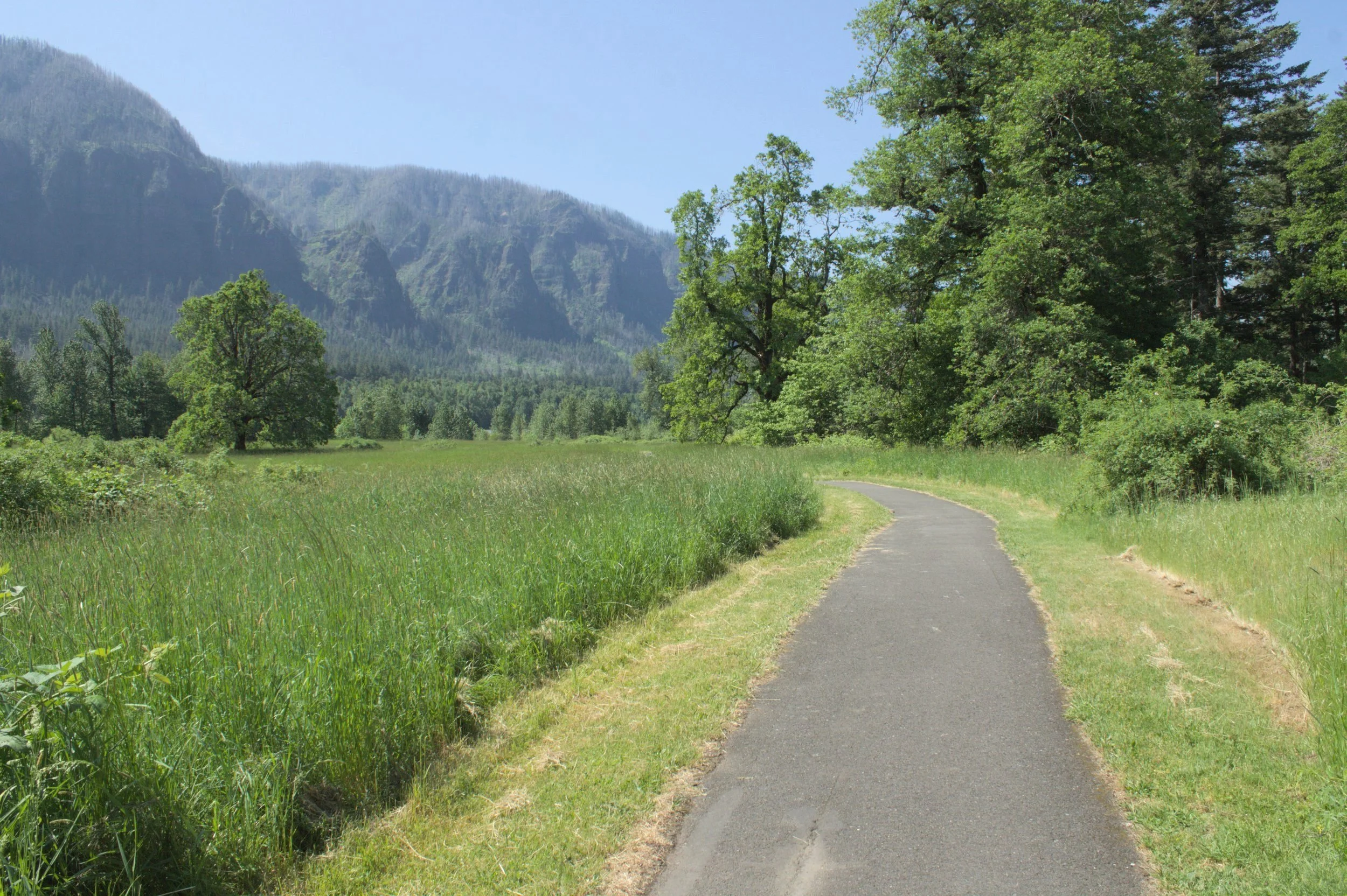 5 Great Hikes at Beacon Rock State Park — Pines and Vines