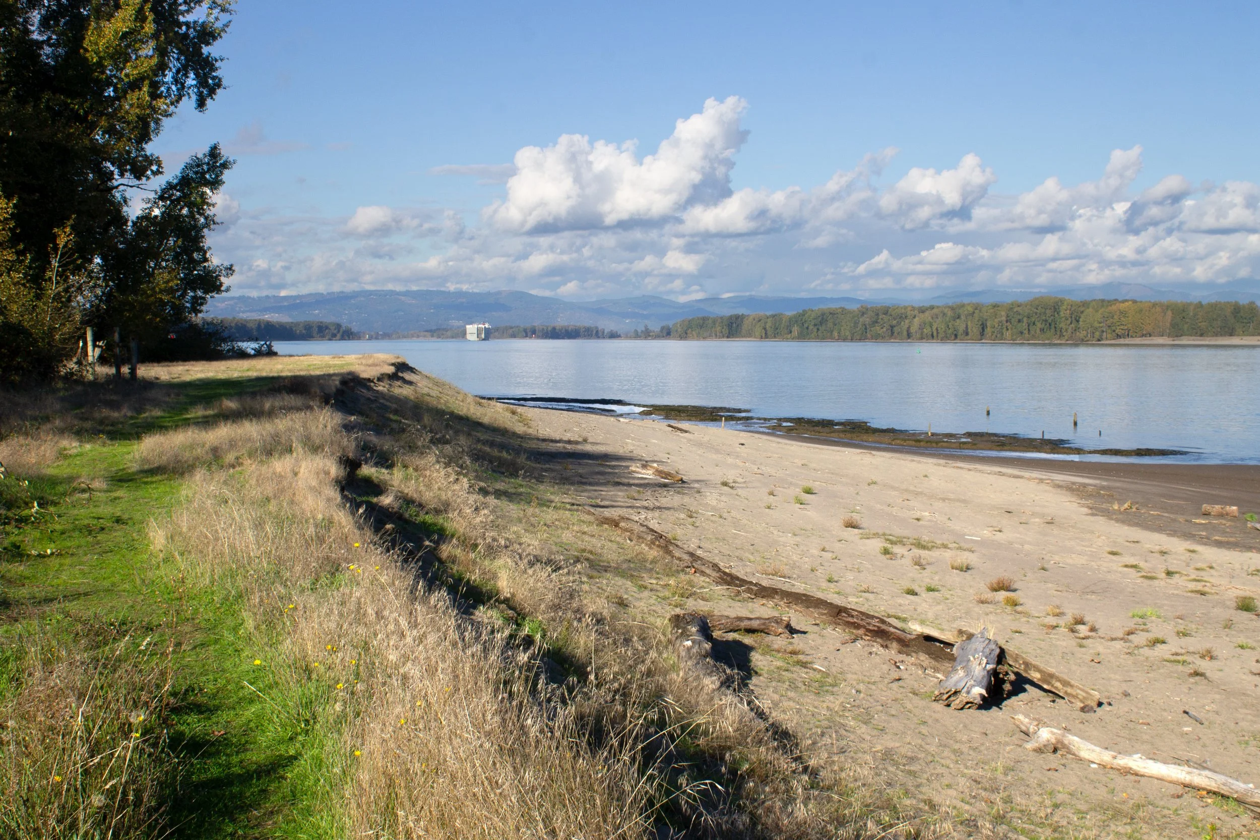 Quick Guide to Sauvie Island Beaches — Pines and Vines