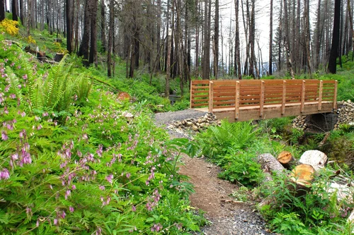 Hike the Shellburg Falls Trail [Reopened 2024] — Pines and Vines