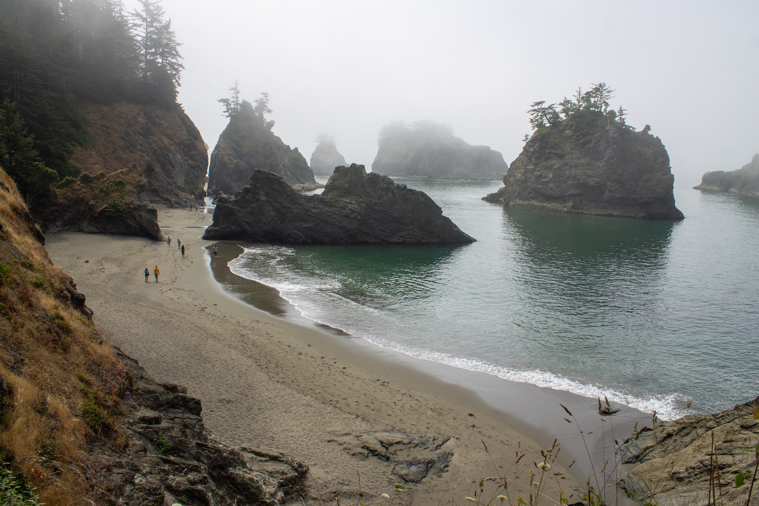 Detailed directions to Secret Beach, Oregon — Pines and Vines