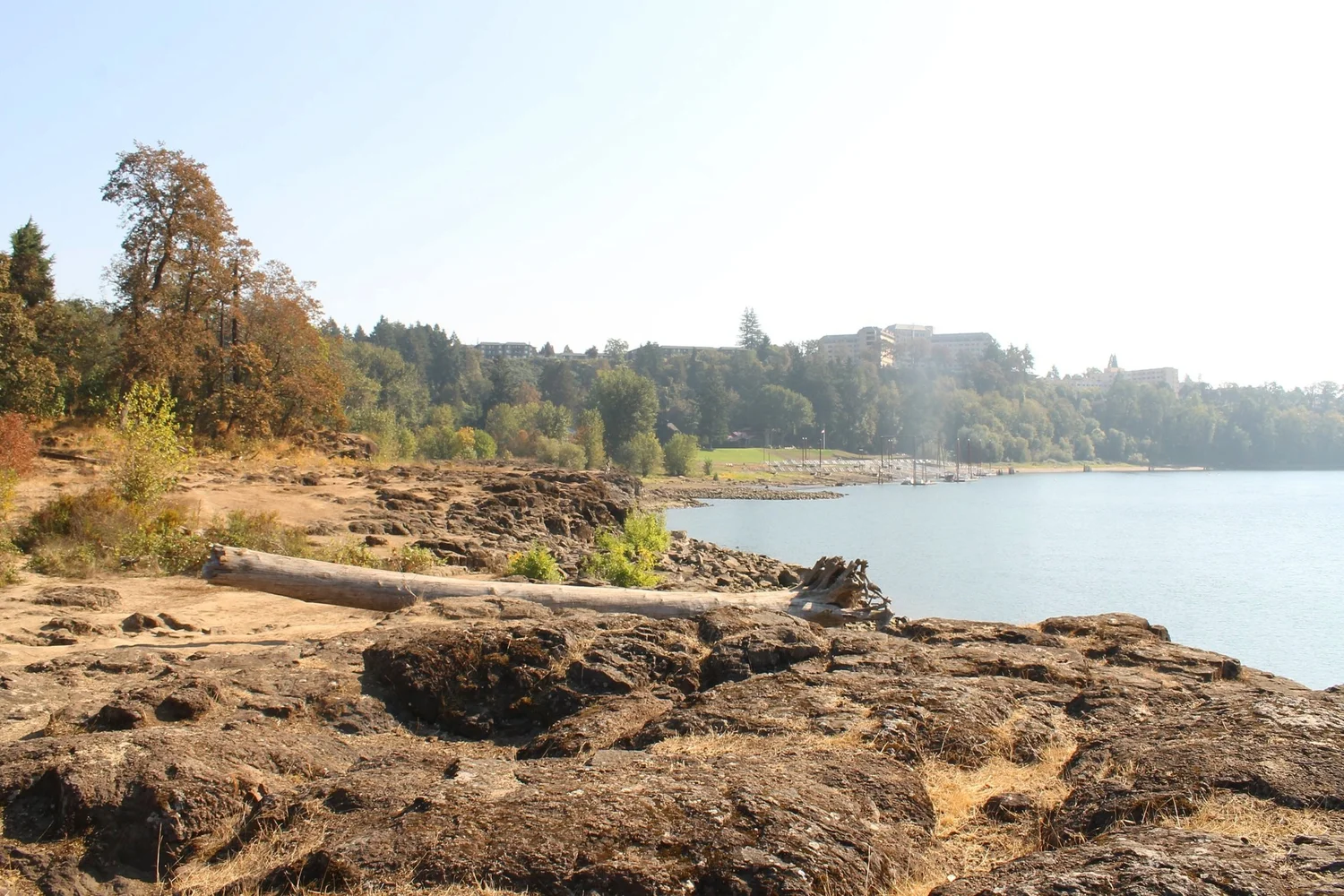 Portland's Magnificent Elk Rock Island — Pines and Vines