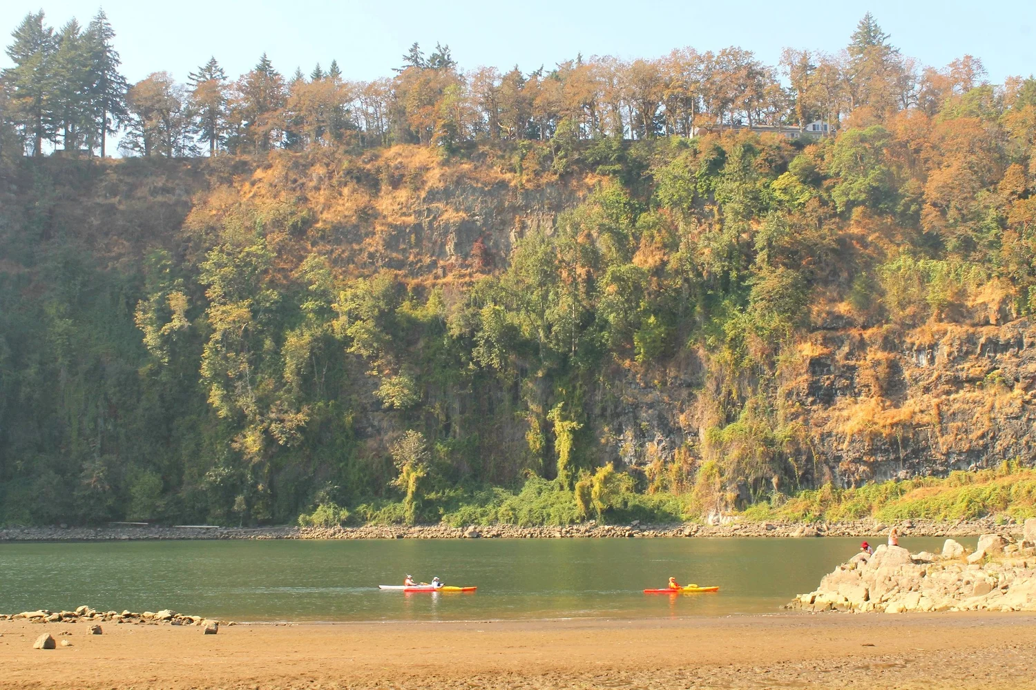 Portland's Magnificent Elk Rock Island — Pines and Vines
