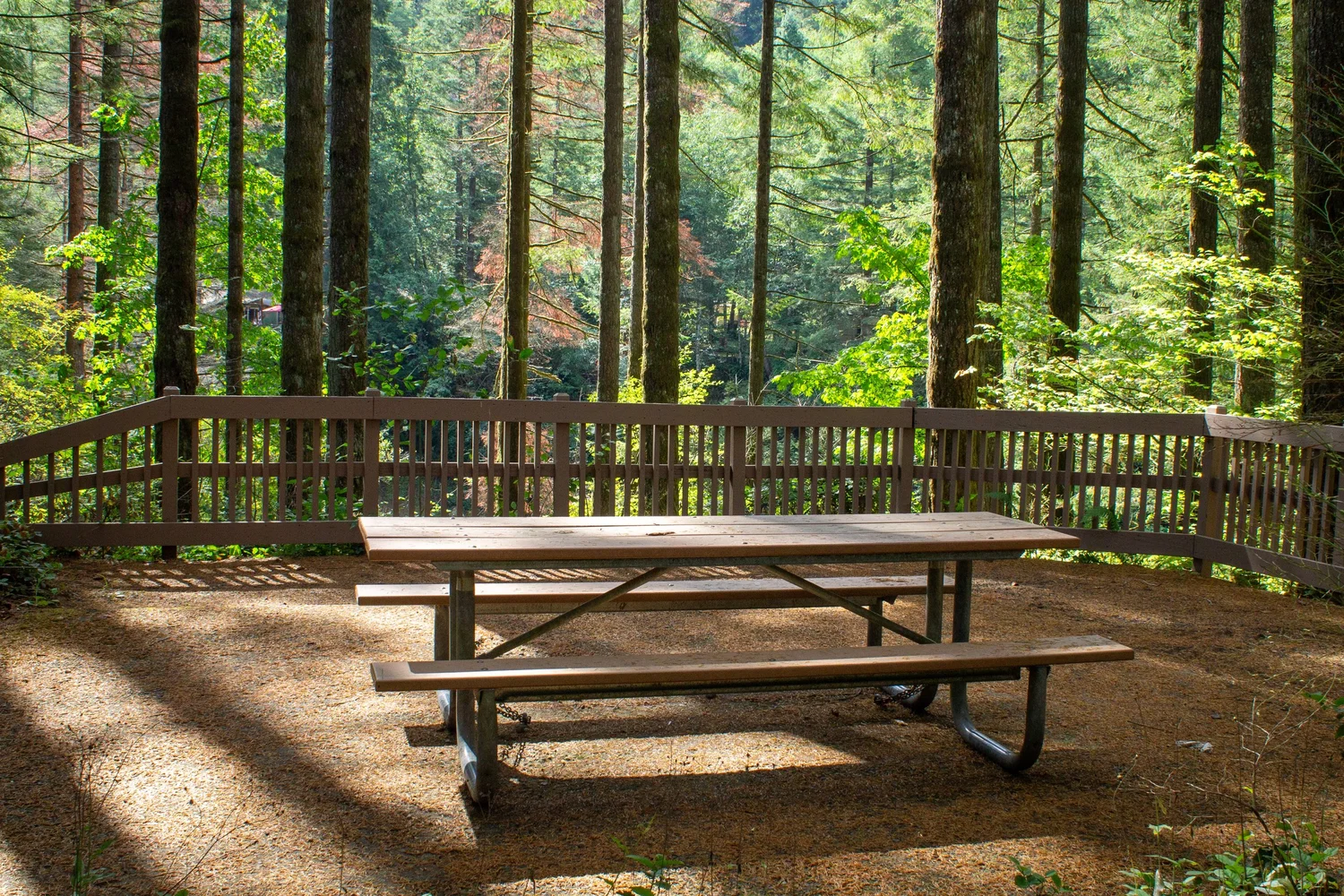 Quick Guide to Visiting Dougan Falls — Pines and Vines