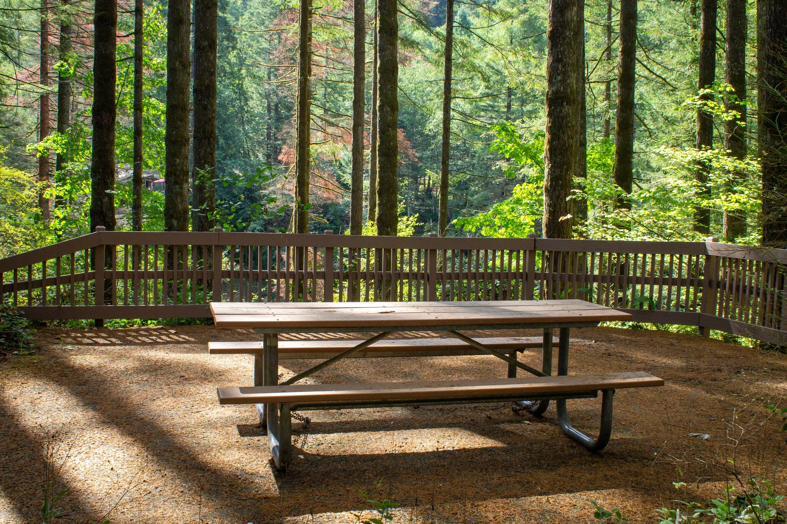 Quick Guide to Visiting Dougan Falls — Pines and Vines