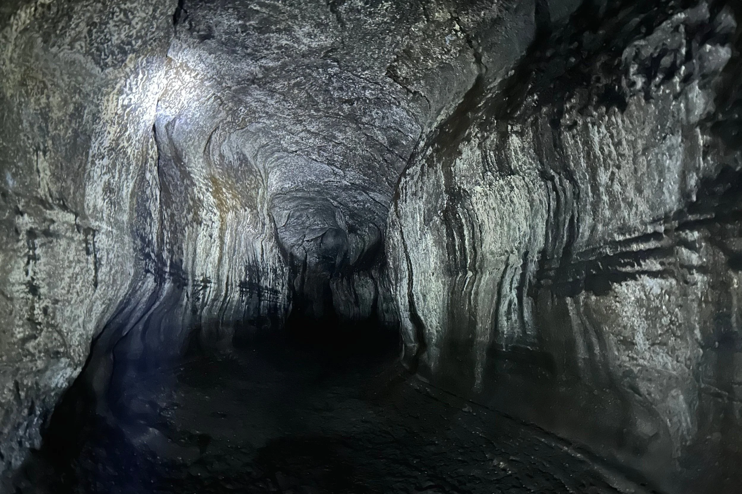 How to See the Ape Cave — Pines and Vines