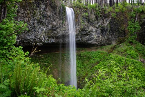 Hike the Shellburg Falls Trail [Reopened 2024] — Pines and Vines
