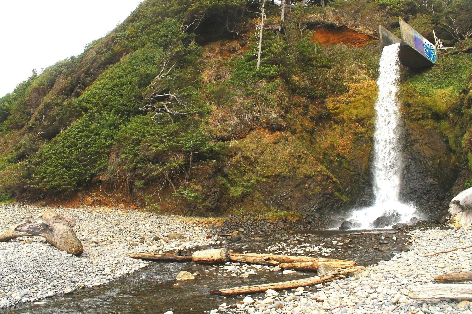 A Day at the Oregon Coast — Pines and Vines