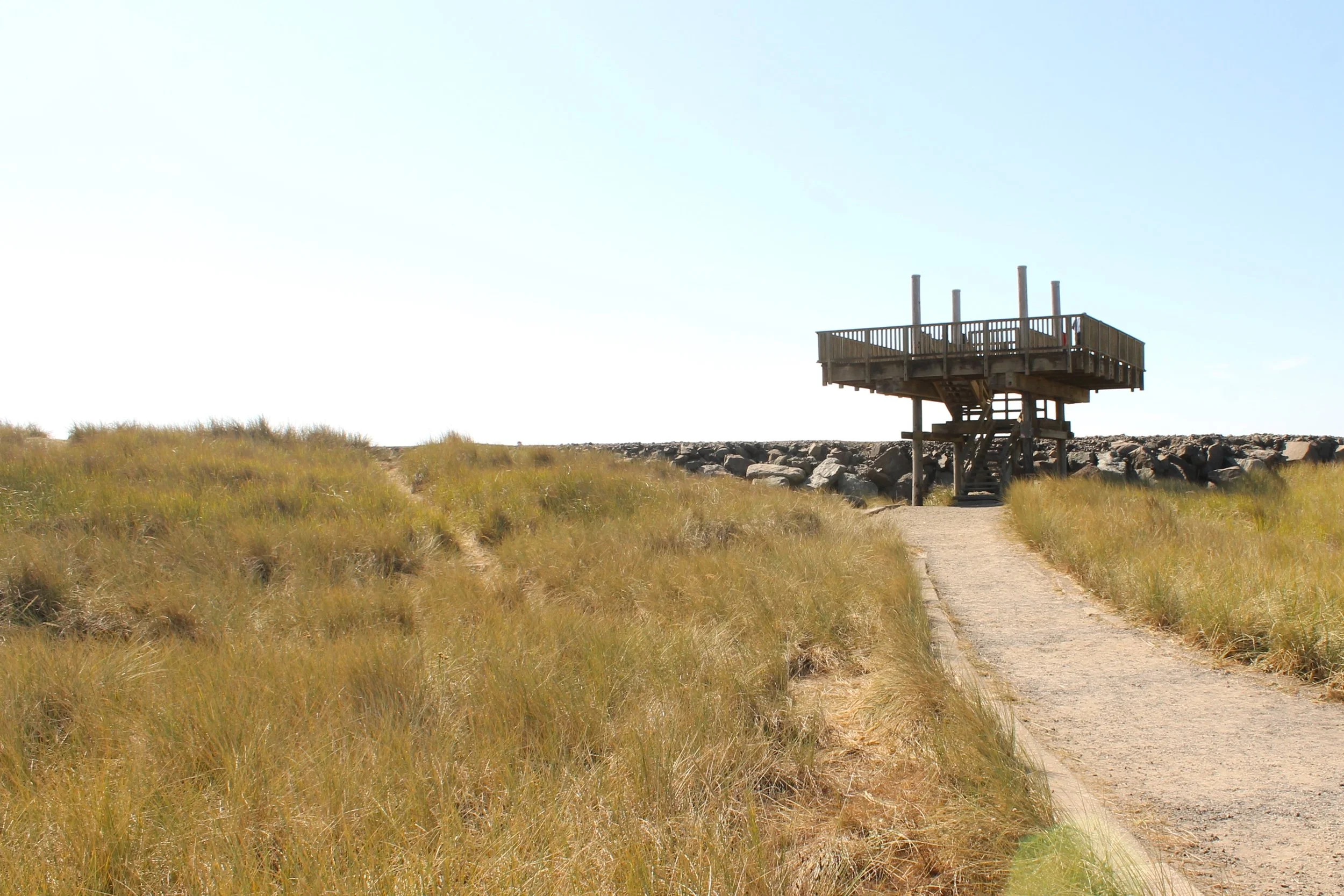 Best 6 Things to Do at Fort Stevens State Park — Pines and Vines ...