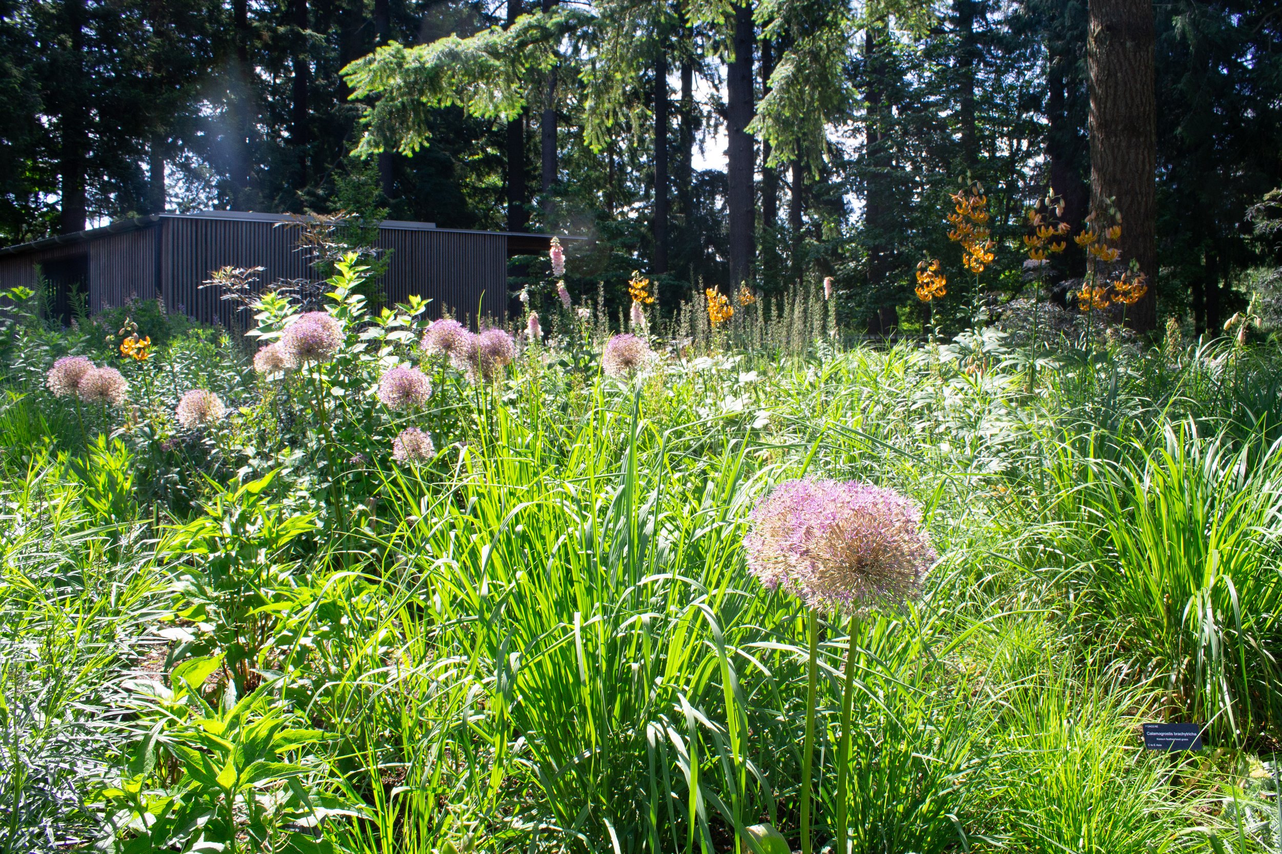 Portland’s 10 Most Beautiful Gardens — Pines and Vines