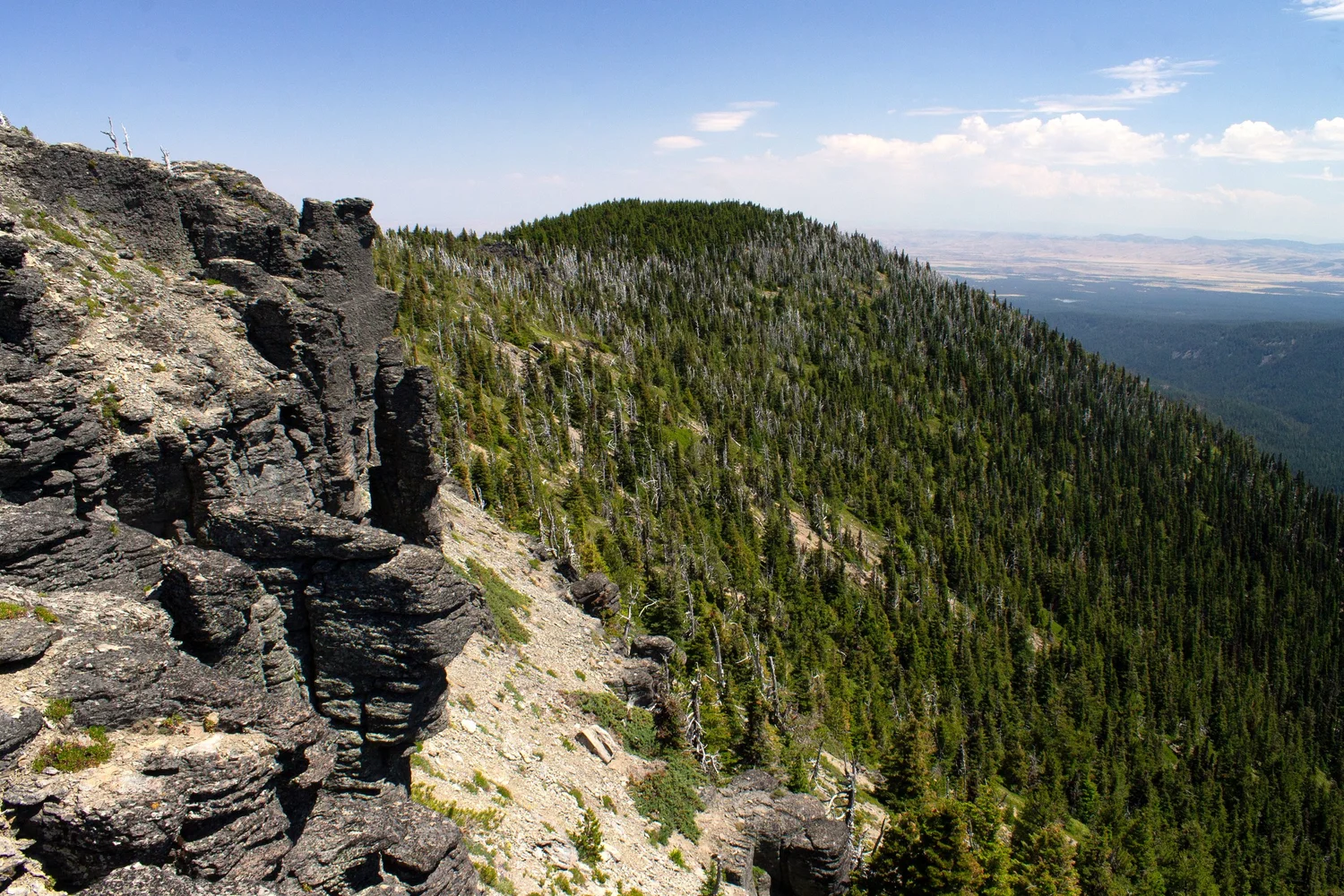 Hike on Lookout Mountain for Wildflowers and Mountain Vistas — Pines ...
