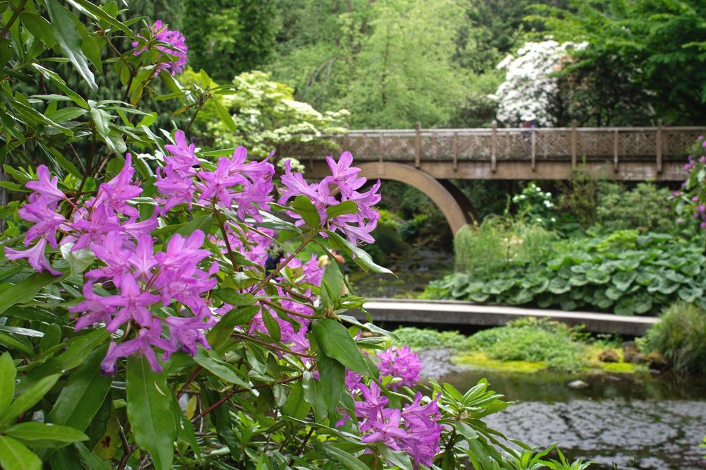 Portland’s 10 Most Beautiful Gardens — Pines and Vines