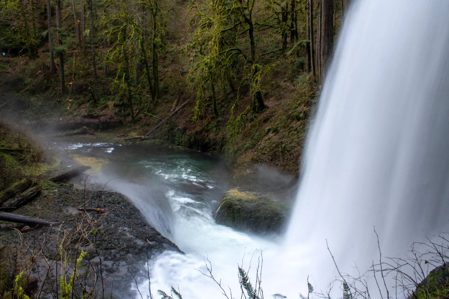 7 Incredible Waterfall Hikes at Silver Falls State Park — Pines and Vines