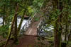 15 Hidden Gem Hikes near Portland — Pines and Vines