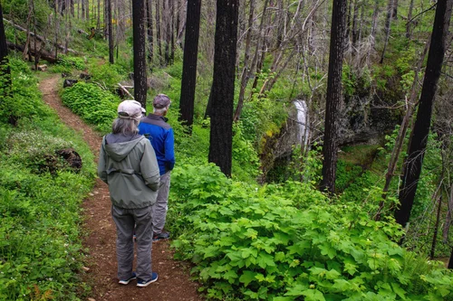 Hike the Shellburg Falls Trail [Reopened 2024] — Pines and Vines