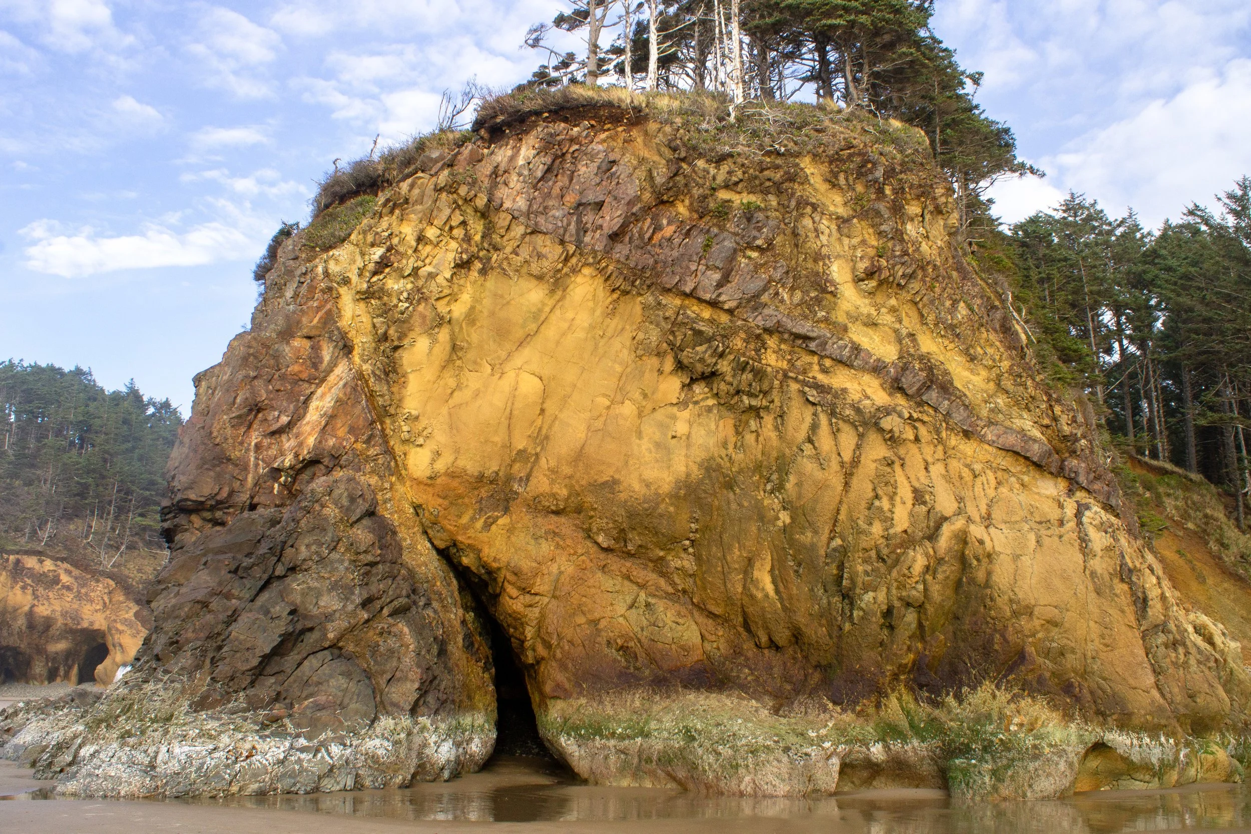 Quick Guide to Hug Point — Pines and Vines