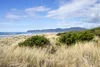 Sitka Sedge State Natural Area Hiking Guide — Pines and Vines