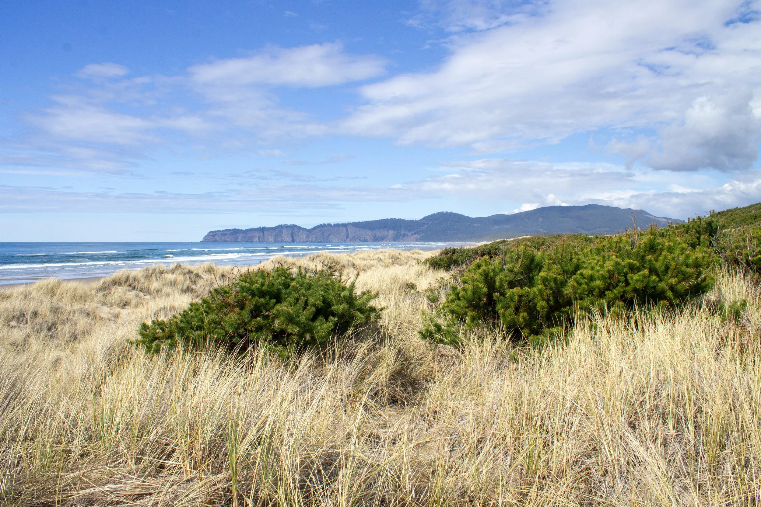 Sitka Sedge State Natural Area Hiking Guide — Pines and Vines