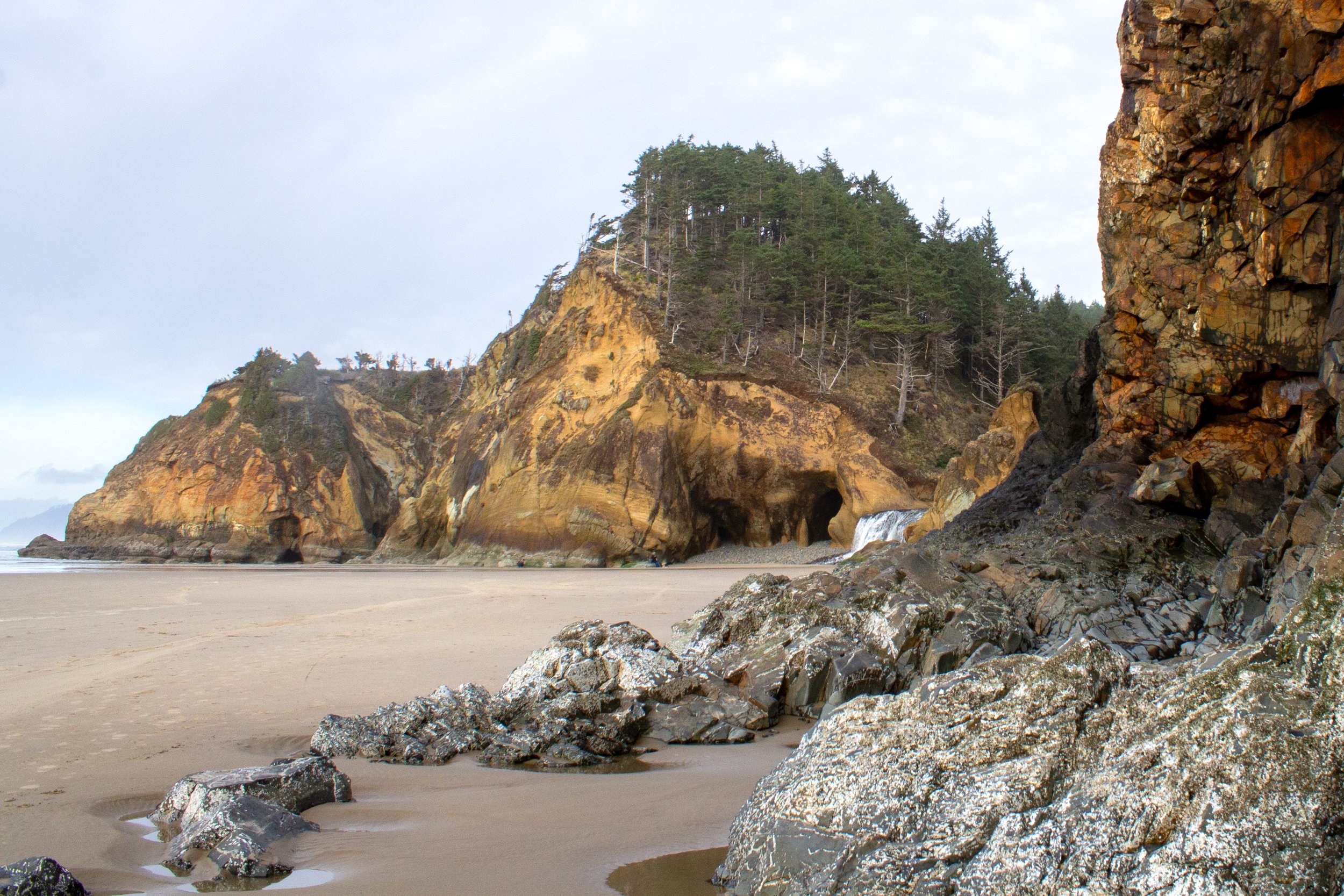 Quick Guide to Hug Point — Pines and Vines