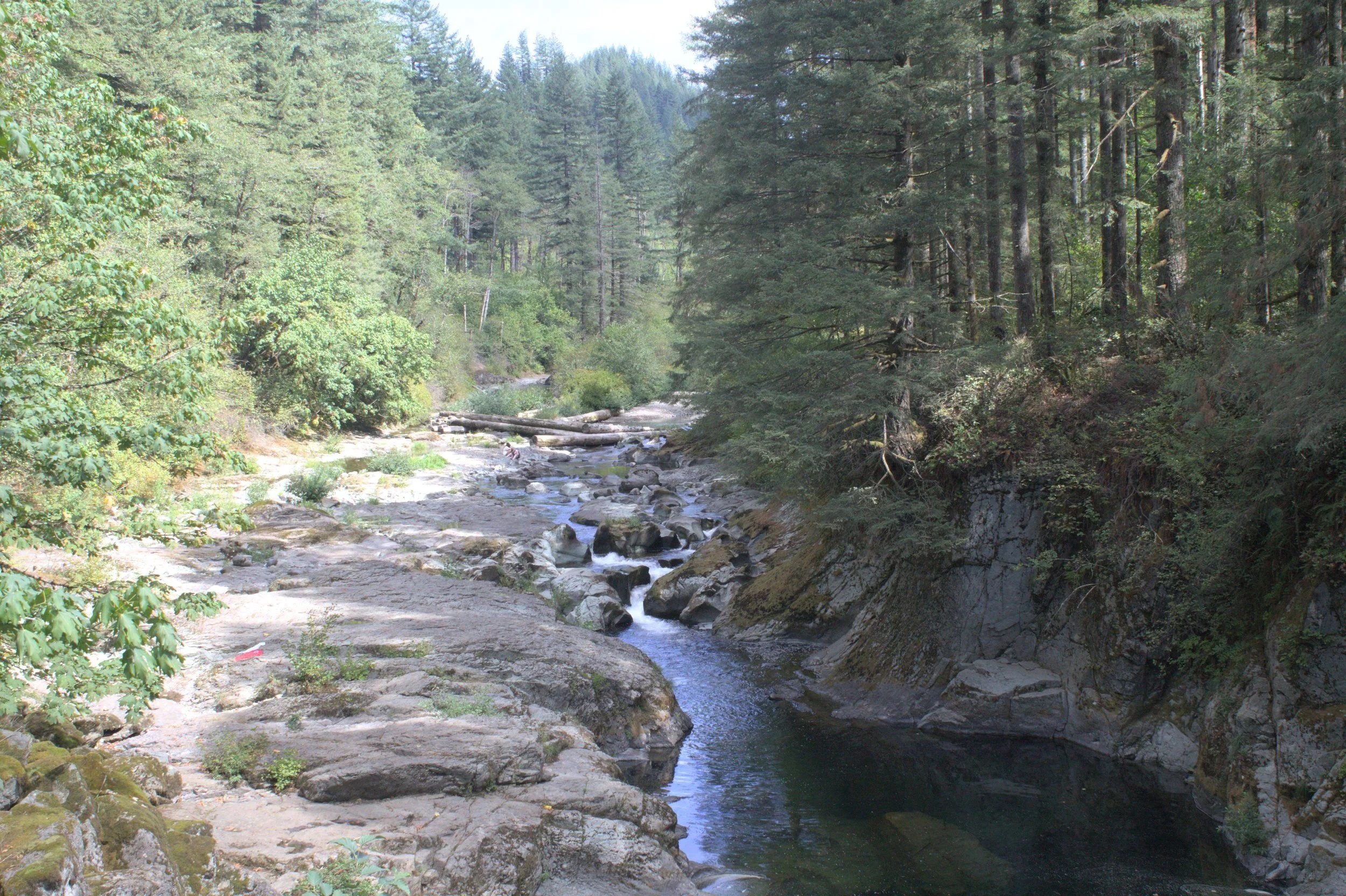 Quick Guide to Visiting Dougan Falls — Pines and Vines