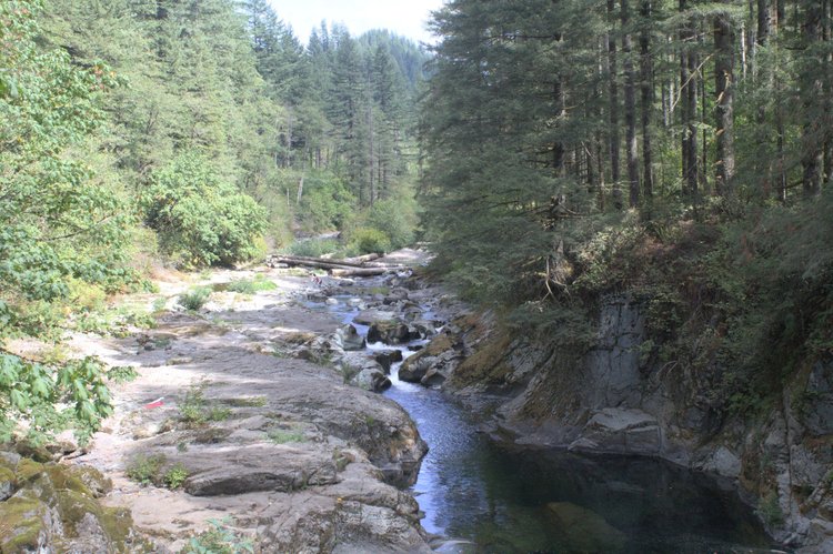 Quick Guide to Visiting Dougan Falls — Pines and Vines