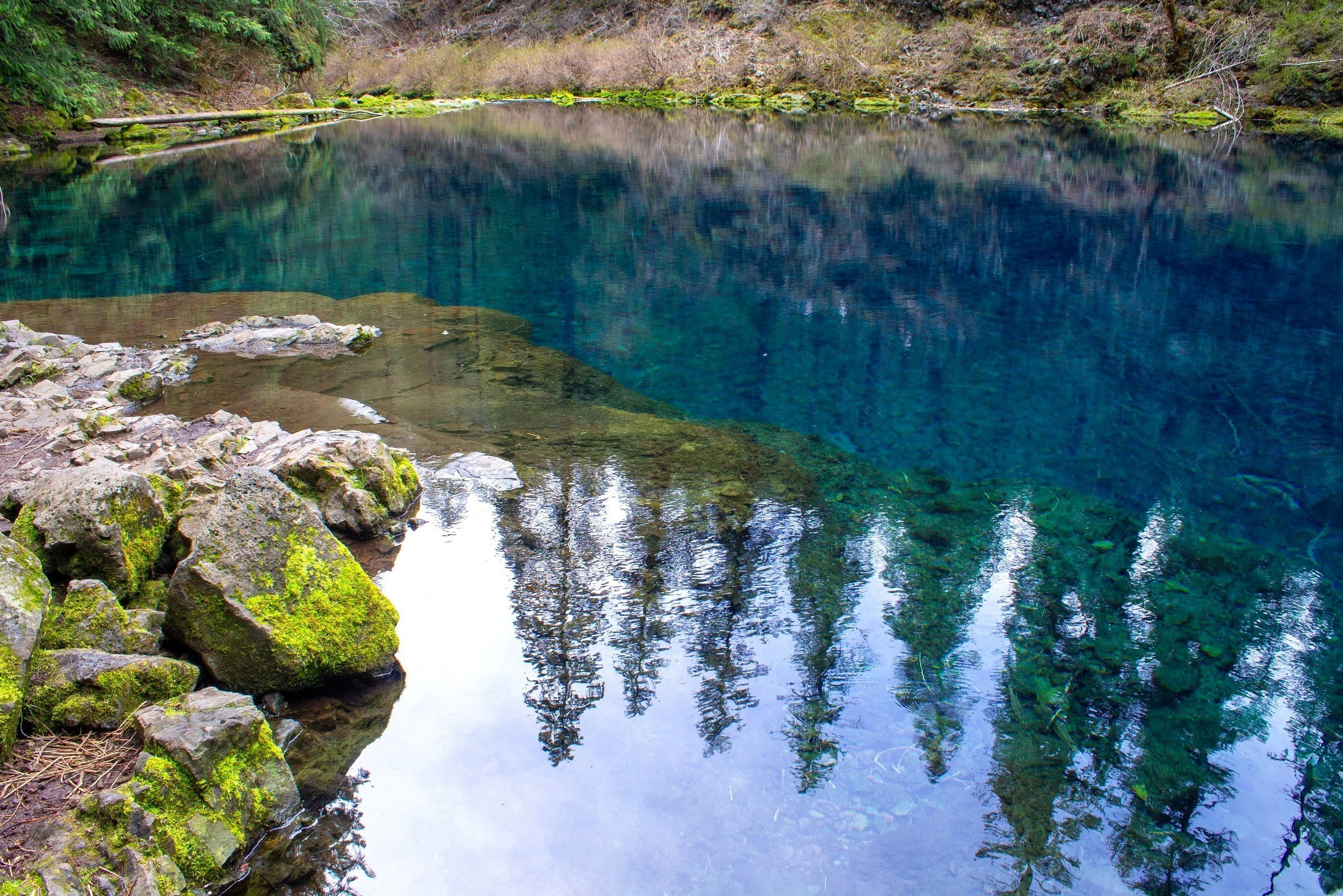 How to Visit the Tamolitch Blue Pool — Pines and Vines
