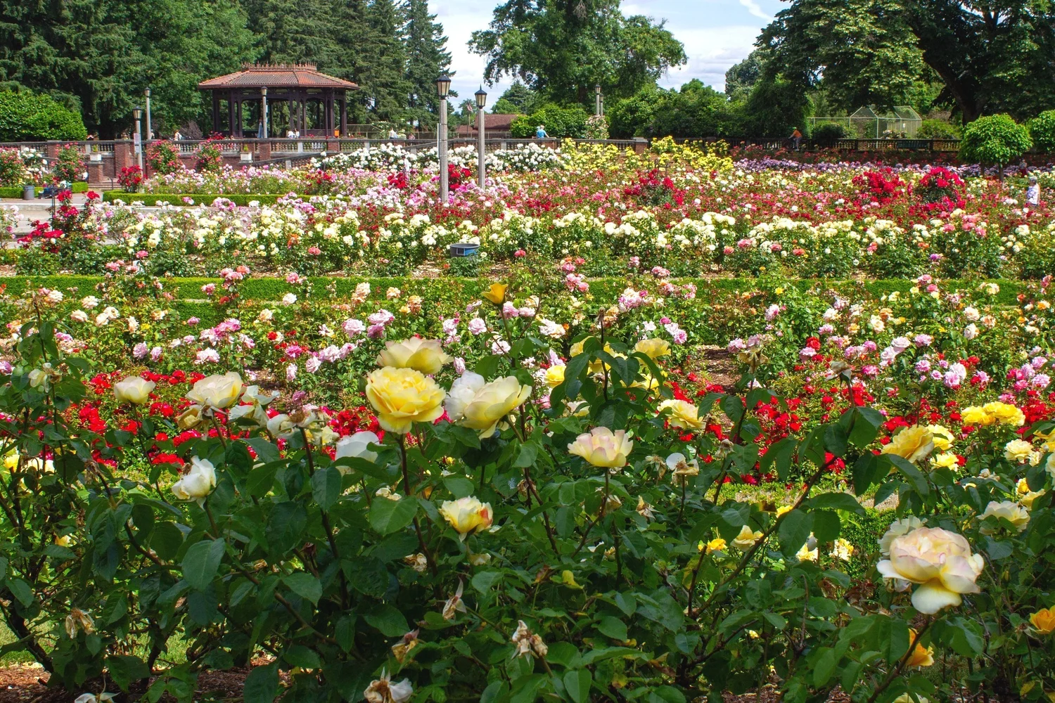 Portland’s 10 Most Beautiful Gardens — Pines and Vines