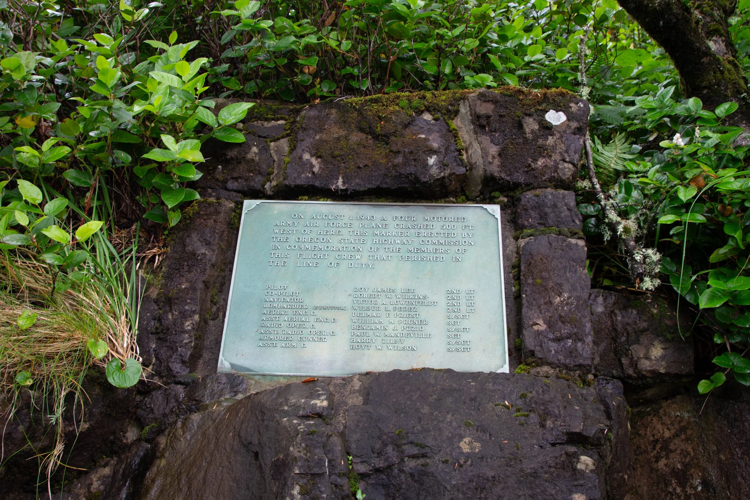 Cape Lookout Trail — Pines and Vines