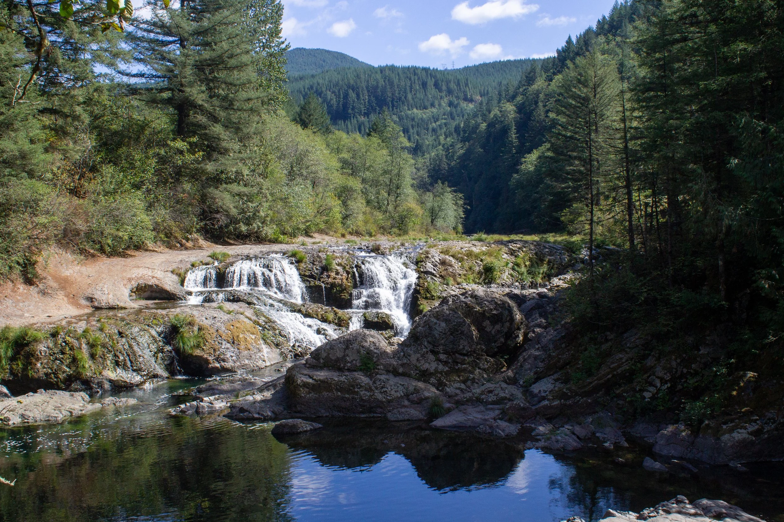 Quick Guide to Visiting Dougan Falls — Pines and Vines