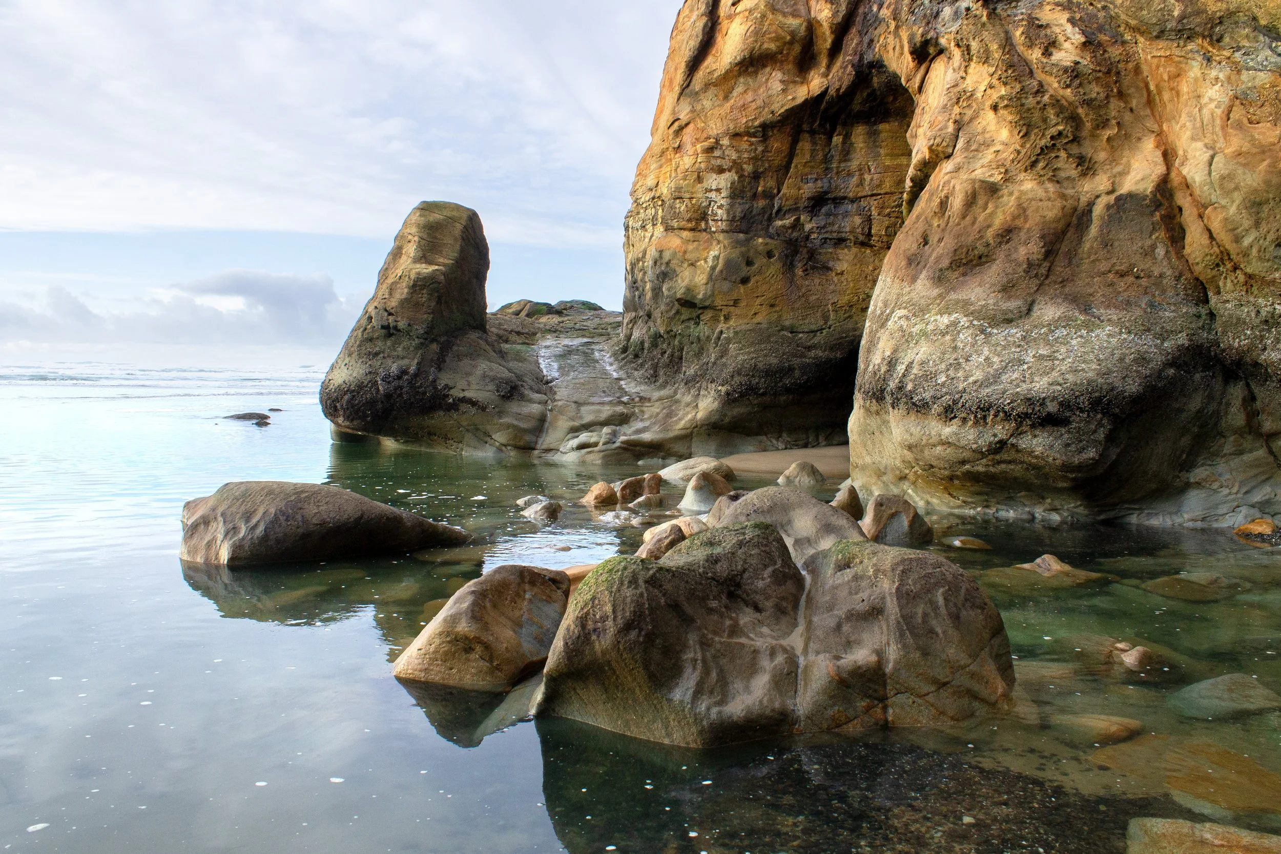 Quick Guide to Hug Point — Pines and Vines