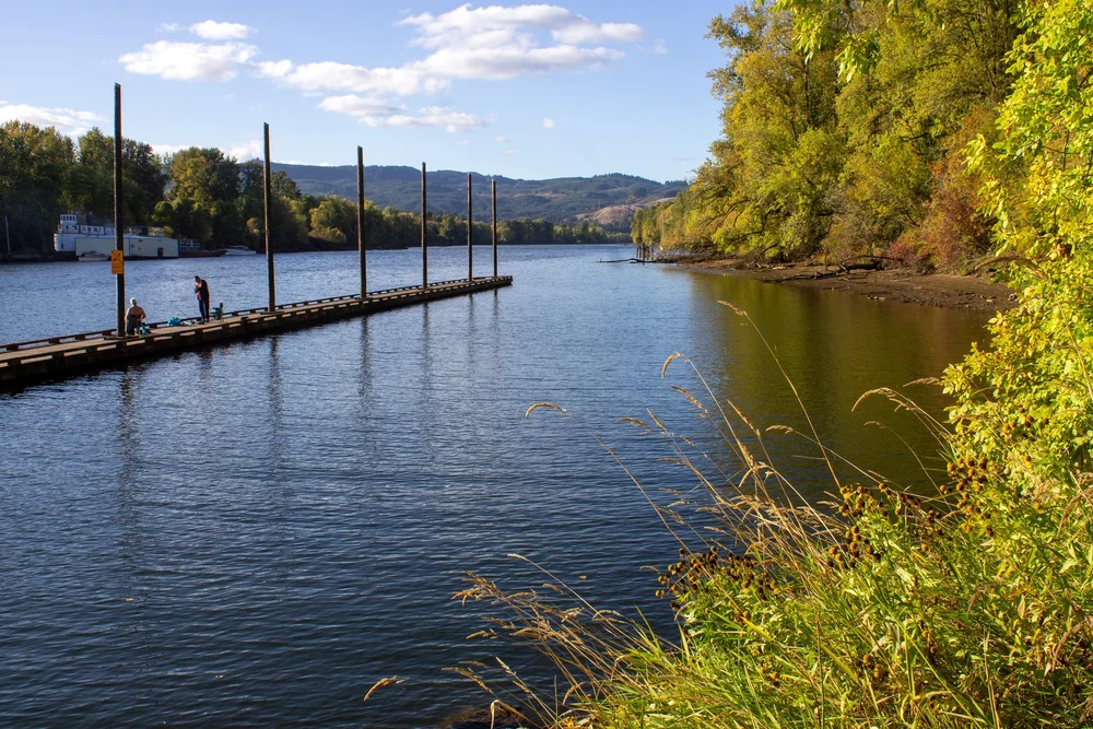 9 Fun Things to Do on Sauvie Island — Pines and Vines — Pines and Vines