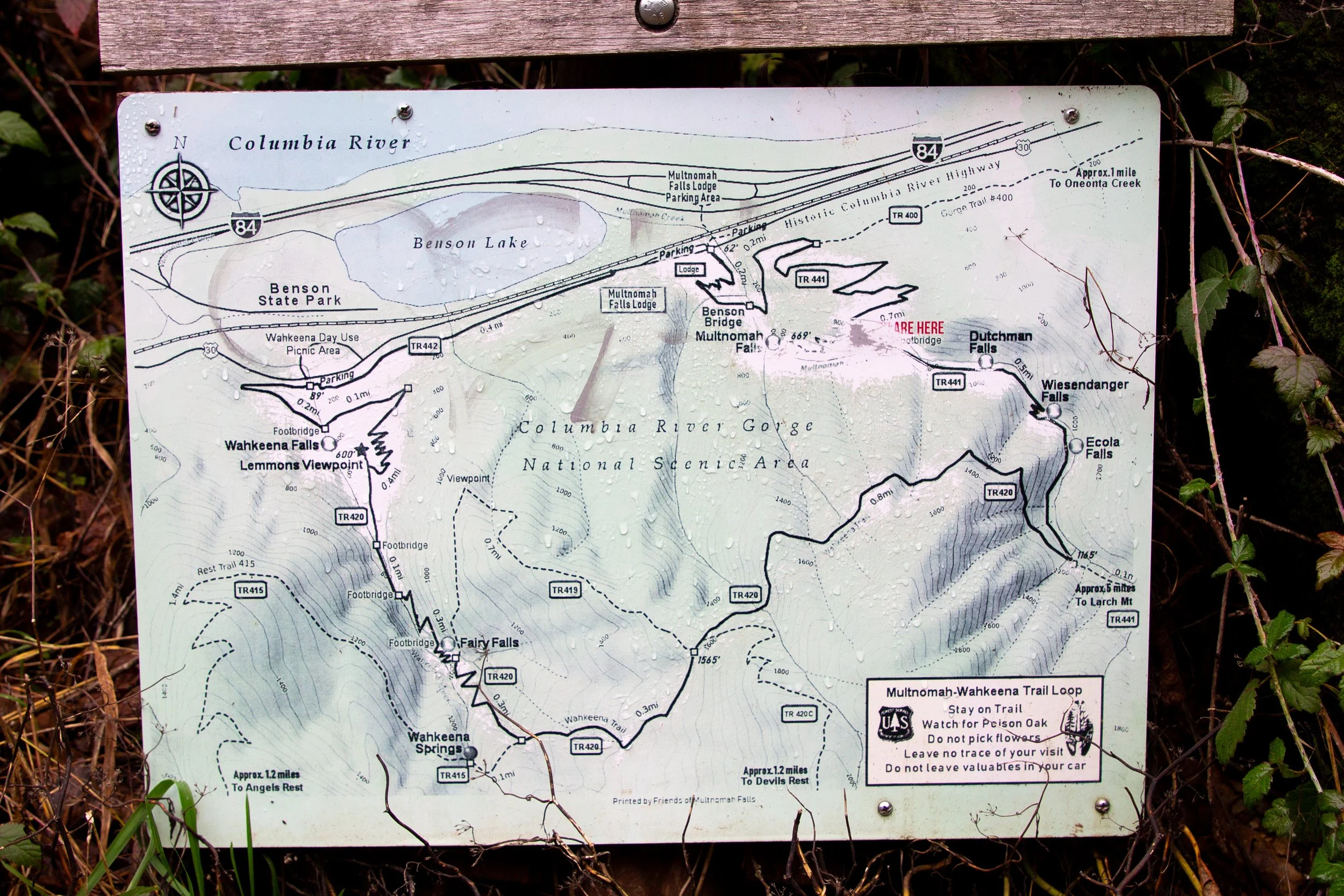 Multnomah Falls - Wahkeena Falls Loop Hike — Pines and Vines — Pines ...