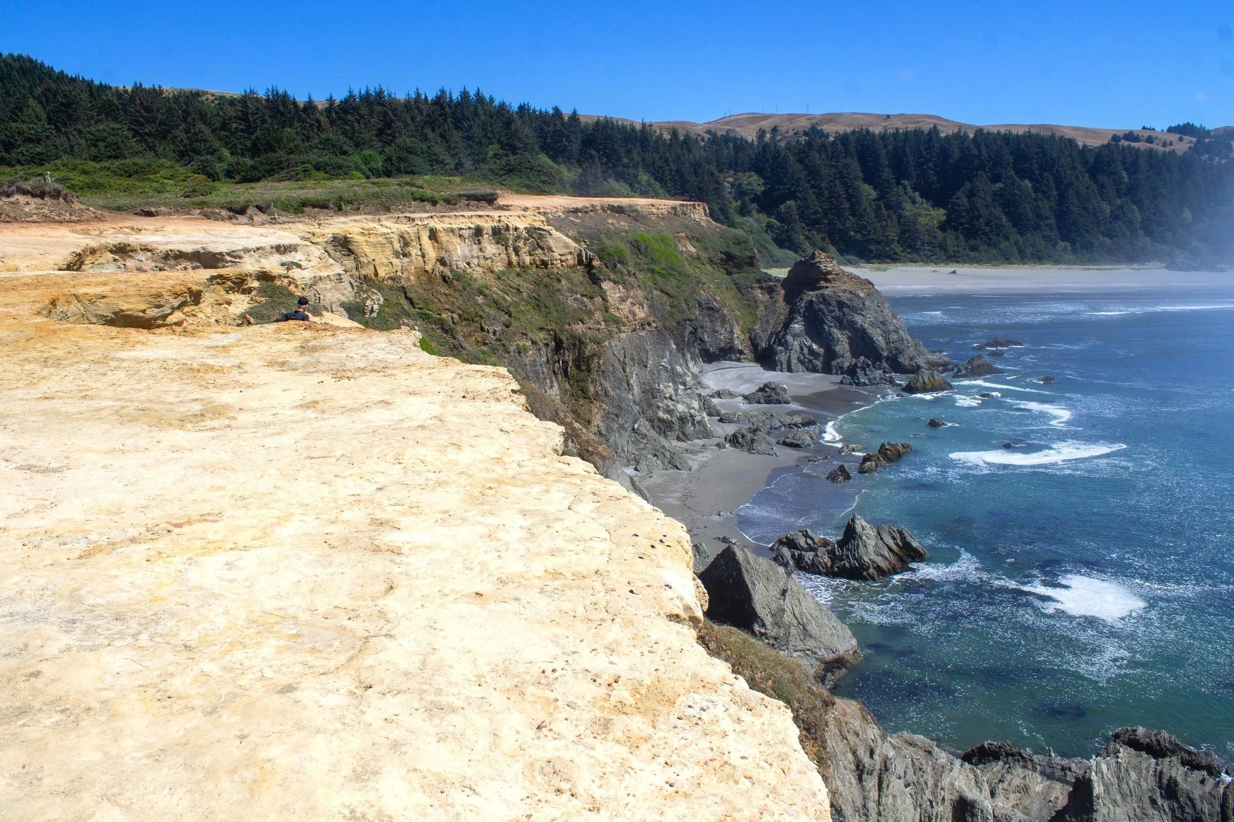 Quick Guide to Otter Point State Recreation Site — Pines and Vines
