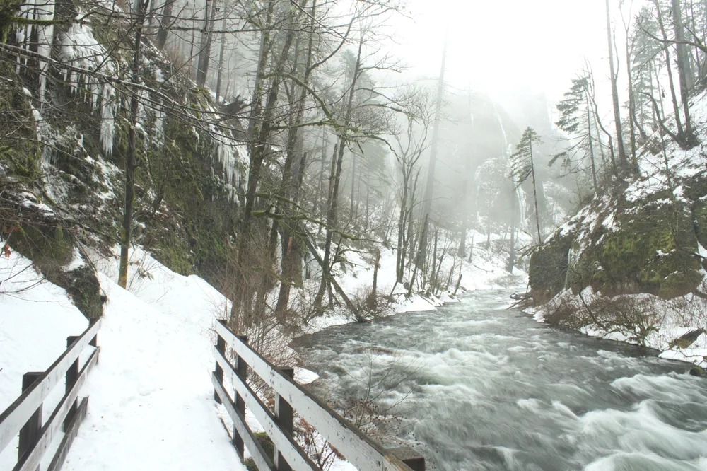 Quick Guide to the Columbia River Gorge in Winter — Pines and Vines