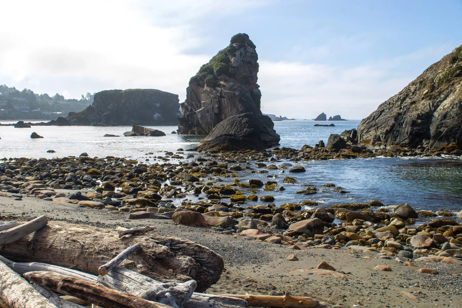 Quick Guide to Harris Beach State Park — Pines and Vines