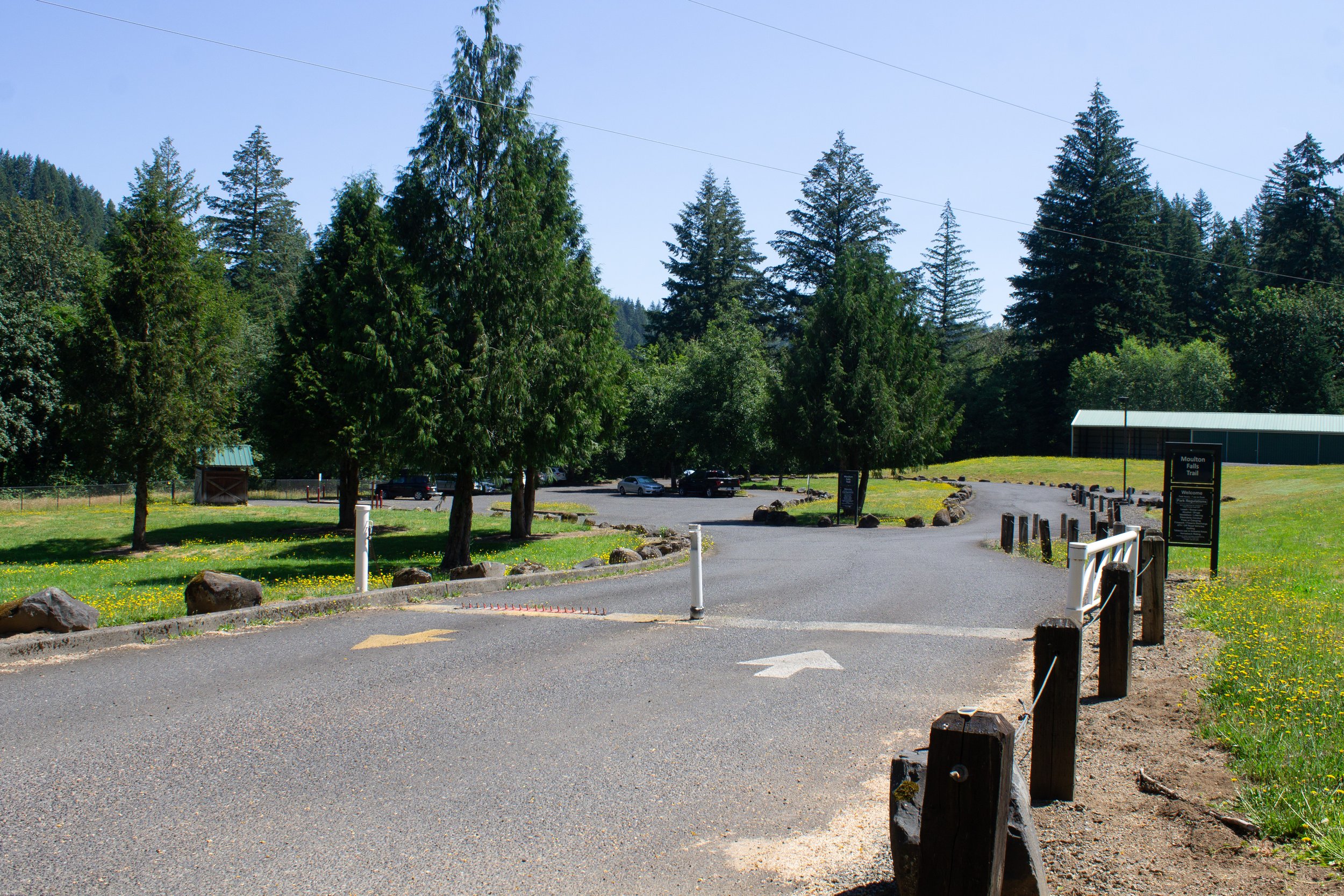 Quick Guide to Moulton Falls Regional Park — Pines and Vines