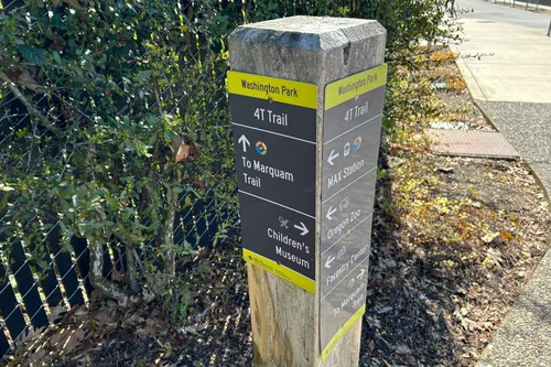 Portland’s 4T Trail, Step by Step — Pines and Vines