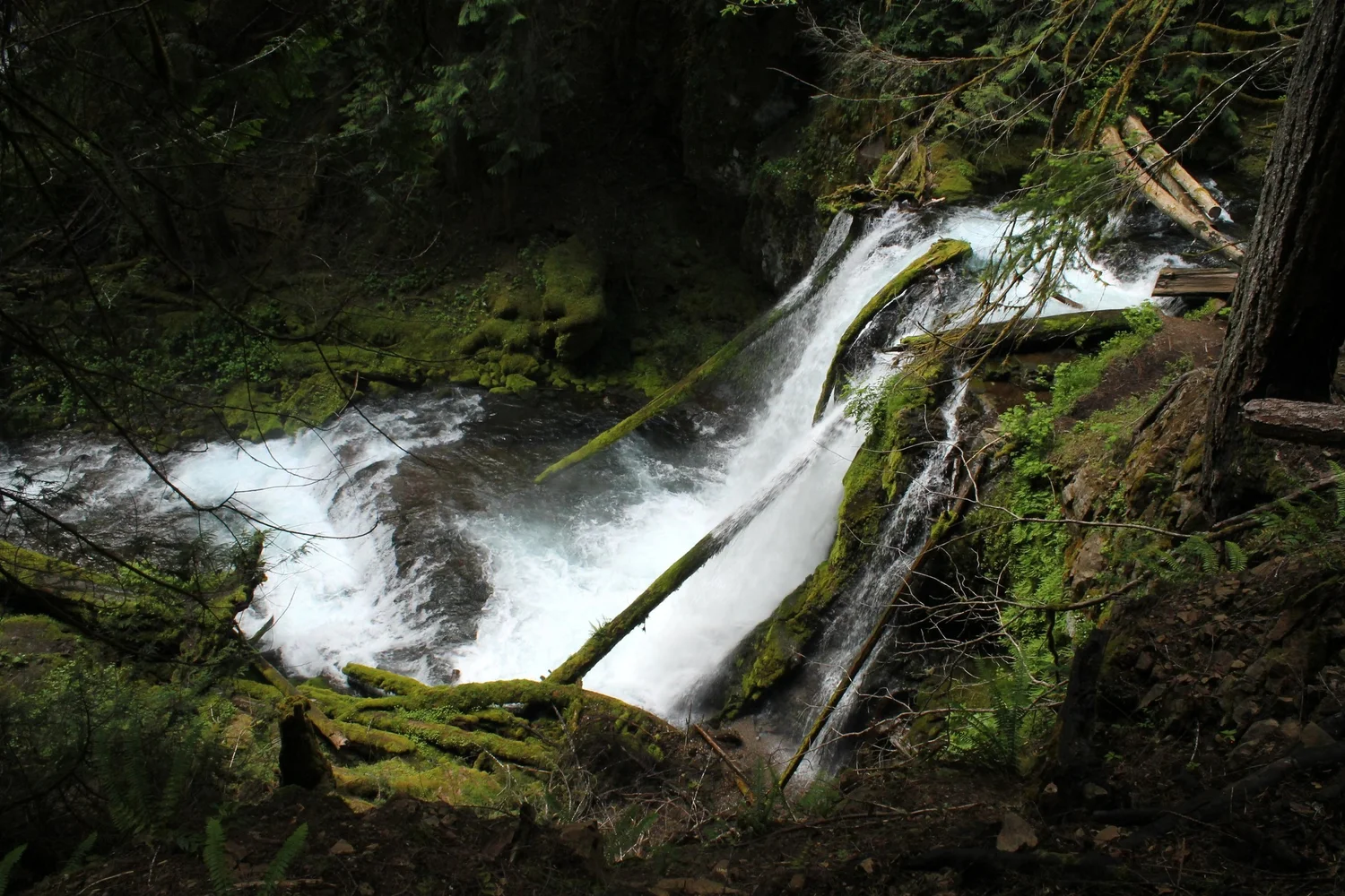 10 Best Waterfalls in Washington’s Columbia Gorge — Pines and Vines